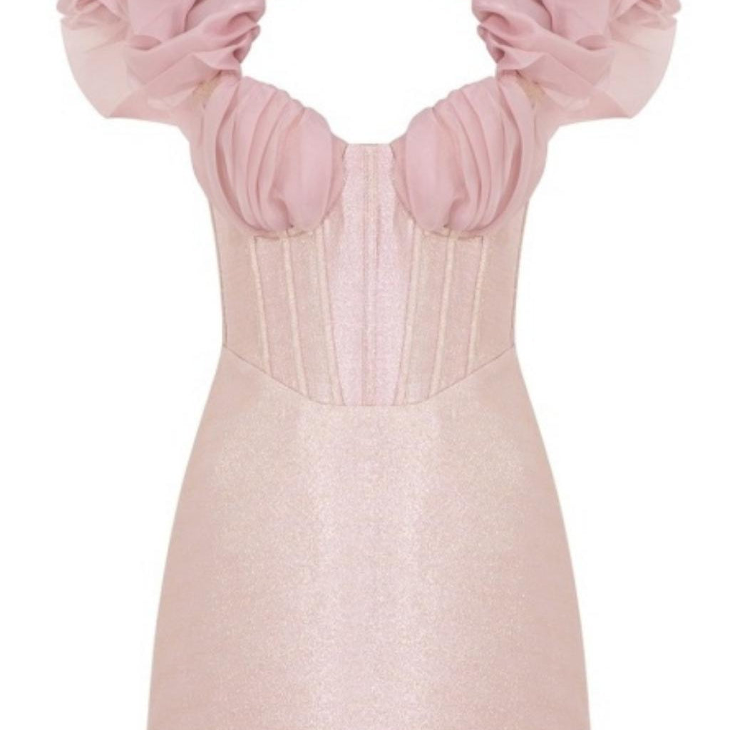 FISHBONE CORSET MINI DRESS – Aesvs